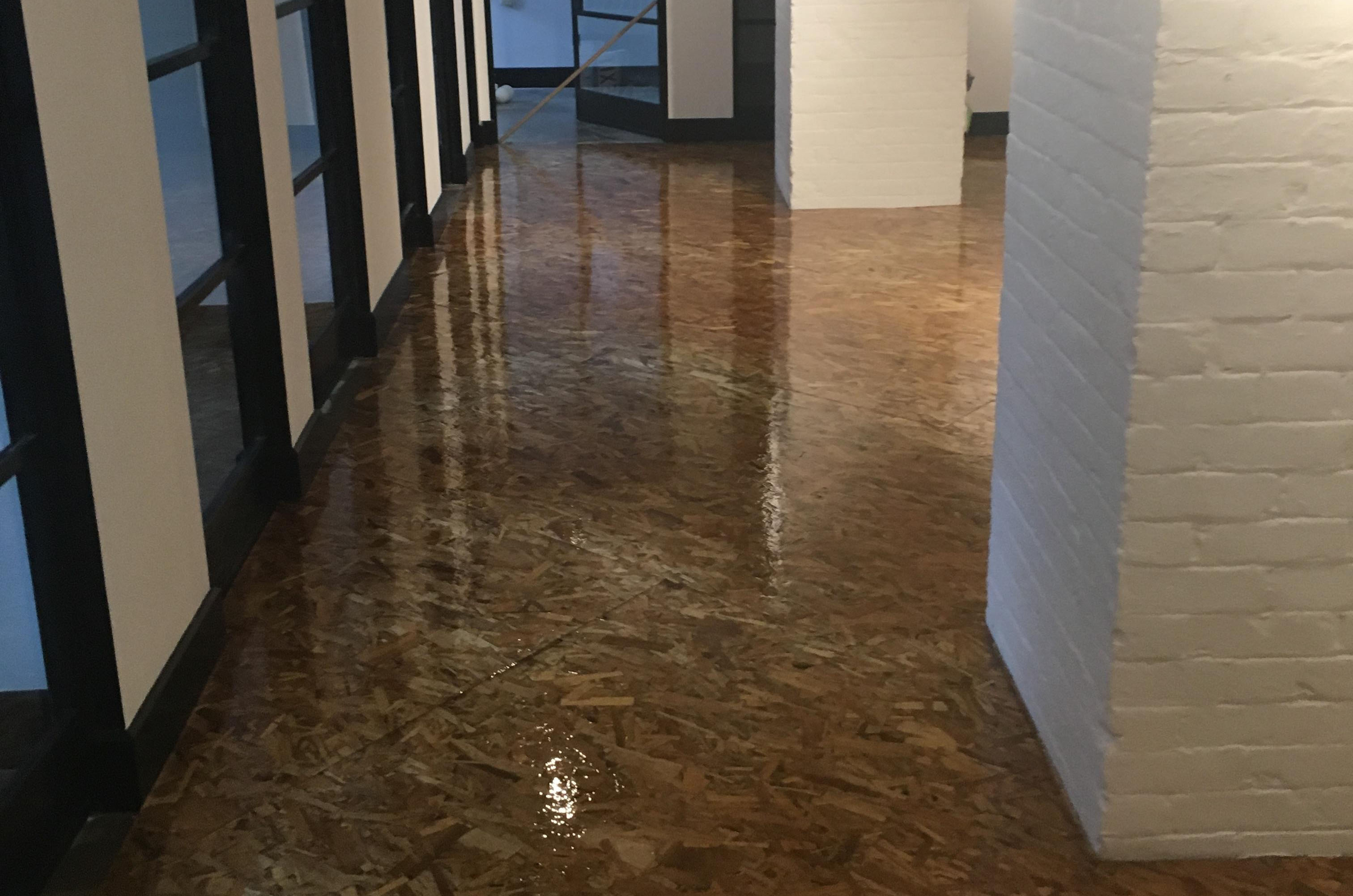 What's New? | Concrete Evidence